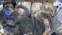 Fossil GIFs - Get the best gif on GIFER