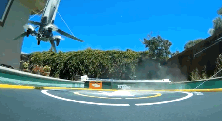 Indulgence GIFs - Get the best gif on GIFER