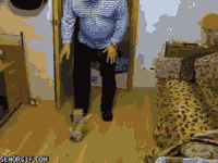 Pile GIFs - Get the best gif on GIFER