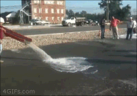 Absorb GIFs - Get the best gif on GIFER