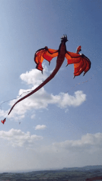 Dragon kite GIFs - Get the best gif on GIFER