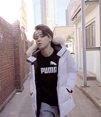 Collection GIFs - Get the best gif on GIFER