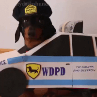 Arrest GIFs - Get the best gif on GIFER