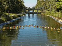 Canals GIFs - Get the best gif on GIFER