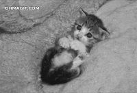 Struggling GIFs - Get the best gif on GIFER