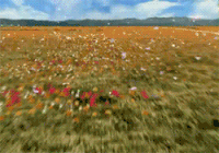 Ff8 GIFs - Get the best gif on GIFER