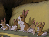 Yawning GIFs - Get the best gif on GIFER