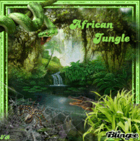 Jungle GIFs - Get the best gif on GIFER