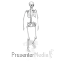 Squelette GIFs - Get the best gif on GIFER