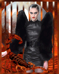 Horoscope GIFs - Get the best gif on GIFER