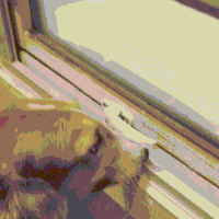 Window GIFs - Get the best gif on GIFER