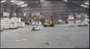 Weeeeeee GIFs - Get the best gif on GIFER