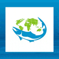 Independent GIFs - Get the best gif on GIFER