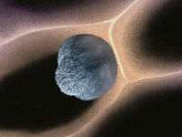 Circulatory system GIFs - Get the best gif on GIFER