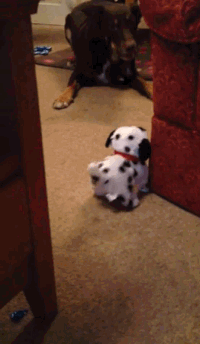 Yesterday GIFs - Get the best gif on GIFER