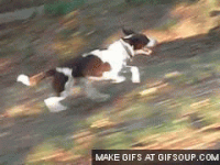 Home run GIFs - Get the best gif on GIFER