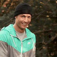 Bos GIFs - Get the best gif on GIFER