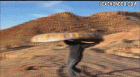 Frisbee GIFs - Get the best gif on GIFER