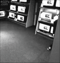 Gamin GIFs - Get the best gif on GIFER