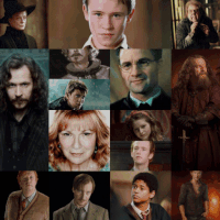 Gryffindor GIFs - Get the best gif on GIFER