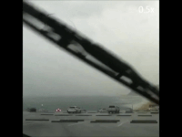 Mate GIFs - Get the best gif on GIFER