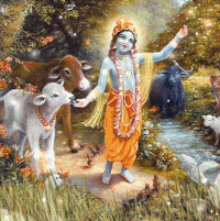 Krishna GIFs - Get the best gif on GIFER