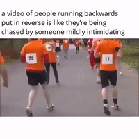 Fella GIFs - Get the best gif on GIFER