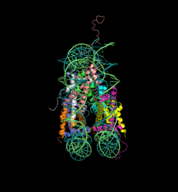 Ap biology GIF - Conseguir o melhor gif em GIFER