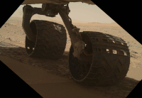 Dingo GIFs - Get the best gif on GIFER