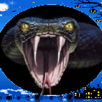 Cobra GIFs - Get the best gif on GIFER