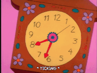 Cuckoo GIFs - Get the best gif on GIFER