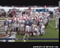 Uga GIFs - Get the best gif on GIFER