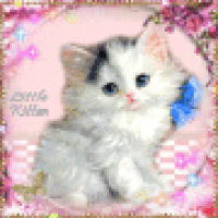 Conscience GIFs - Get the best gif on GIFER