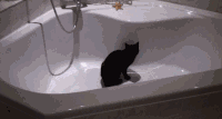 Whirlpool GIFs - Get the best gif on GIFER