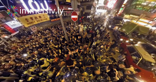 Pansyface GIFs - Get the best gif on GIFER