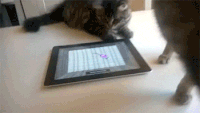 Thinner GIFs - Get the best gif on GIFER