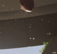 Salt bae GIF - Conseguir o melhor gif em GIFER