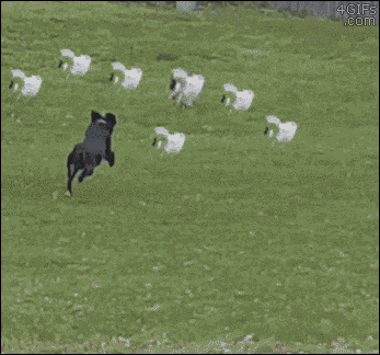 Synchronizes GIFs - Get the best gif on GIFER