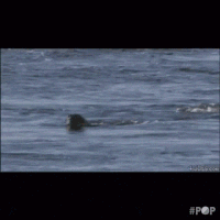 Beep GIFs - Get the best gif on GIFER