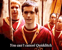 Quidditch GIFs - Get the best gif on GIFER