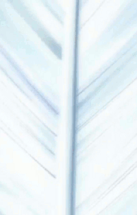 Tutu GIFs - Get the best gif on GIFER