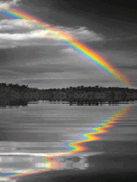 Nature GIFs - Get the best gif on GIFER