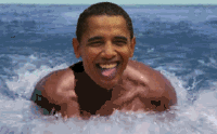 Res GIFs - Get the best gif on GIFER