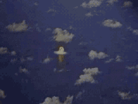 Underwater GIFs - Get the best gif on GIFER