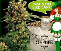 Marijuana GIFs - Get the best gif on GIFER