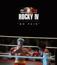 Rocky GIFs - Get the best gif on GIFER