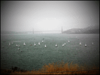 Agreeable GIFs - Get the best gif on GIFER