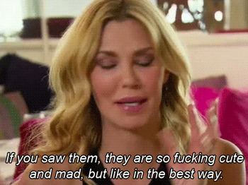 How can anyone hate brandi GIF - Conseguir o melhor gif em GIFER