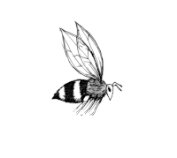 Insect GIFs - Get the best gif on GIFER