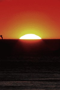 Sol GIF - Conseguir o melhor gif em GIFER